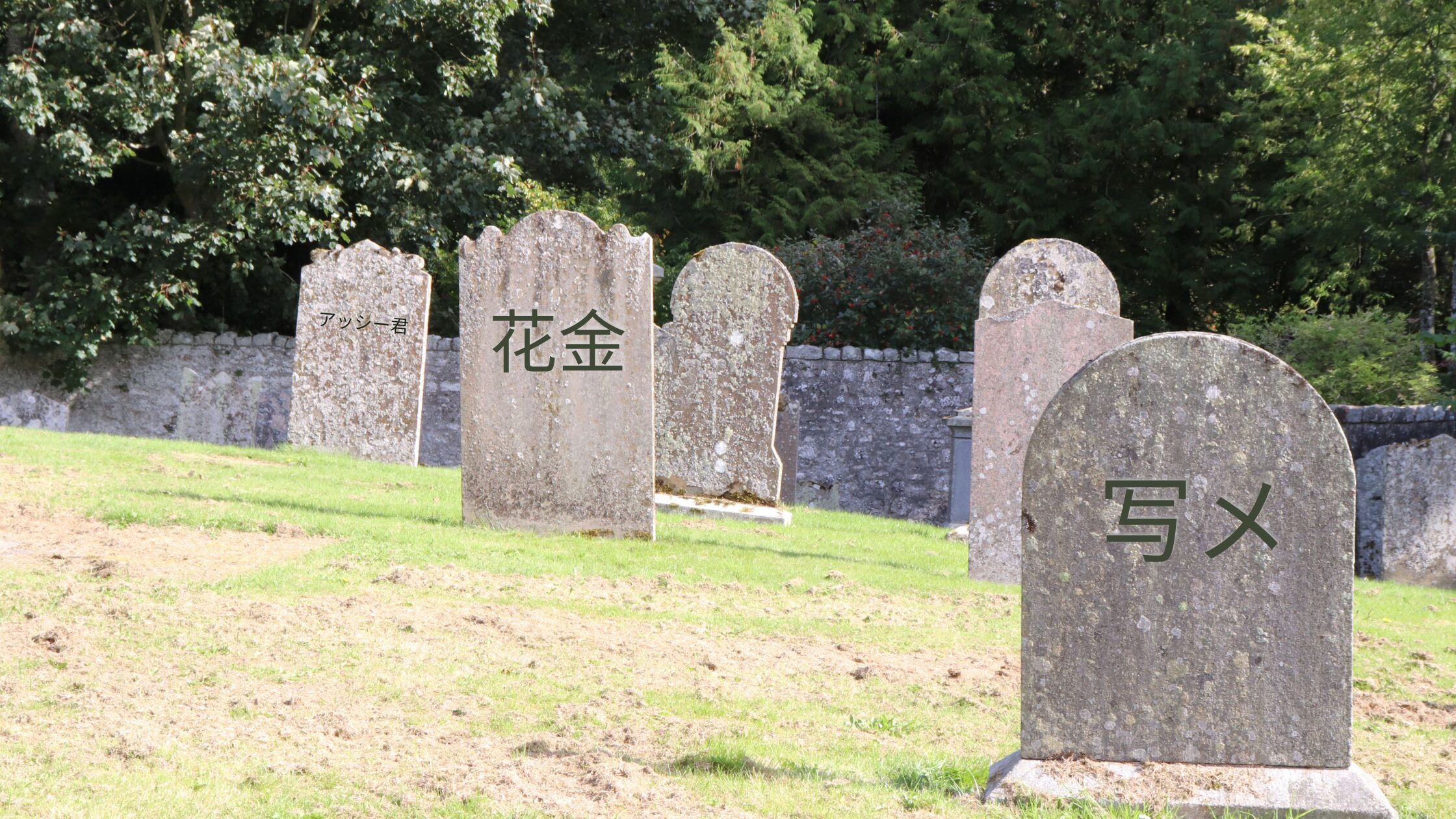 The "Dead" Slang Words a Japanese Dictionary Officially Killed - Unseen ...